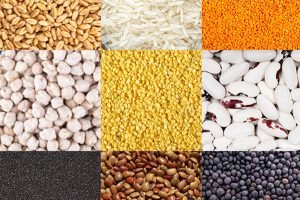 Navadhanya | Importance & Benefits of the 9 Pulses